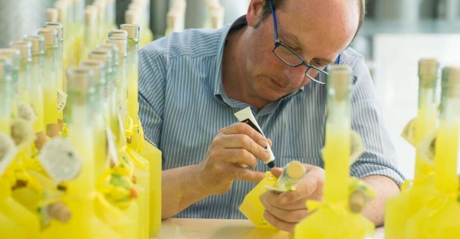 Amalfi: Vertical Lemon Farm Tour, Tastings, and Rural Museum - Authenticity and Authentic Experiences