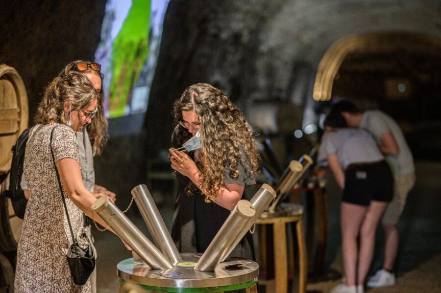 Amboise: Caves Ambacia Visit and Wine Tasting - The Vintage Odyssey: A Walk Through 150 Years of Wine