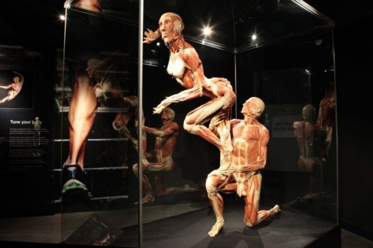 Amsterdam: Body Worlds Exhibition and Canal Cruise - Practical Information and Tips
