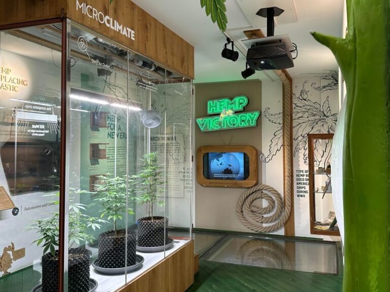 Amsterdam: Cannabis Museum Entry Ticket - Final Thoughts