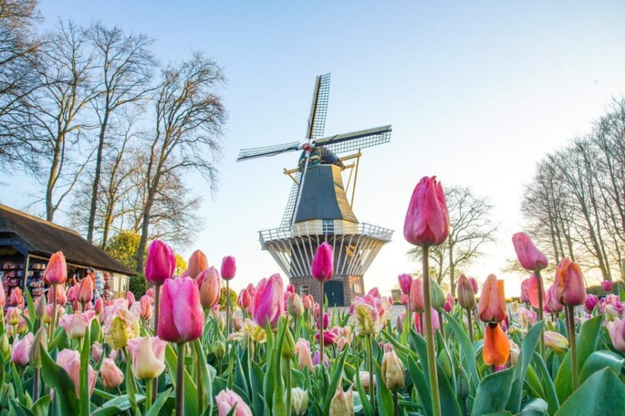 Amsterdam: Keukenhof and Zaanse Schans Live Guided Day Tour - Who Will Love This Tour?
