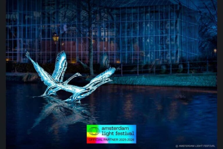 Amsterdam: Light Festival Heated Cruise + Unl Drinks & Snack - What To Expect: A Step-by-Step Breakdown