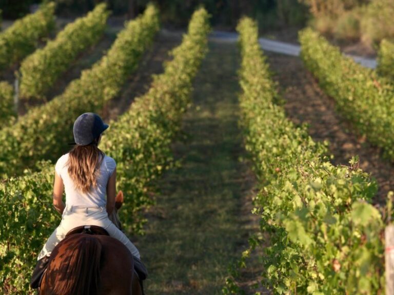 An Exclusive Horseback Experience in the Heart of Tuscany - The Practical Side: Pricing, Duration & Group Size