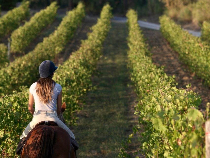 An Exclusive Horseback Experience in the Heart of Tuscany - The Practical Side: Pricing, Duration & Group Size
