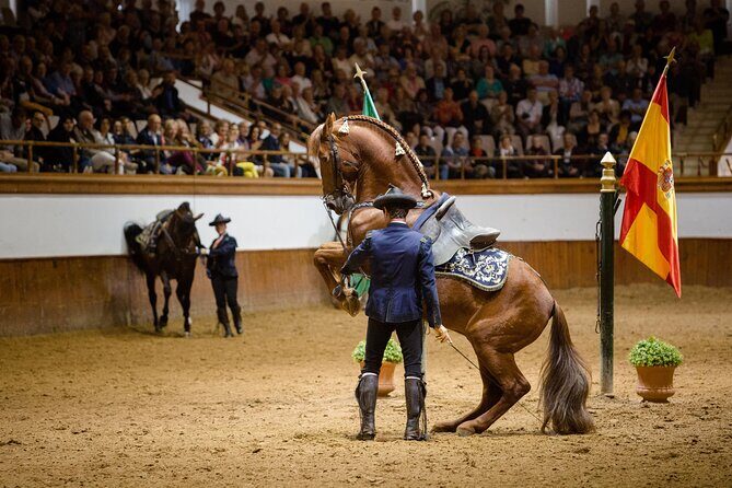 Andalusian Horses Dance Show - Who Will Love This Tour?