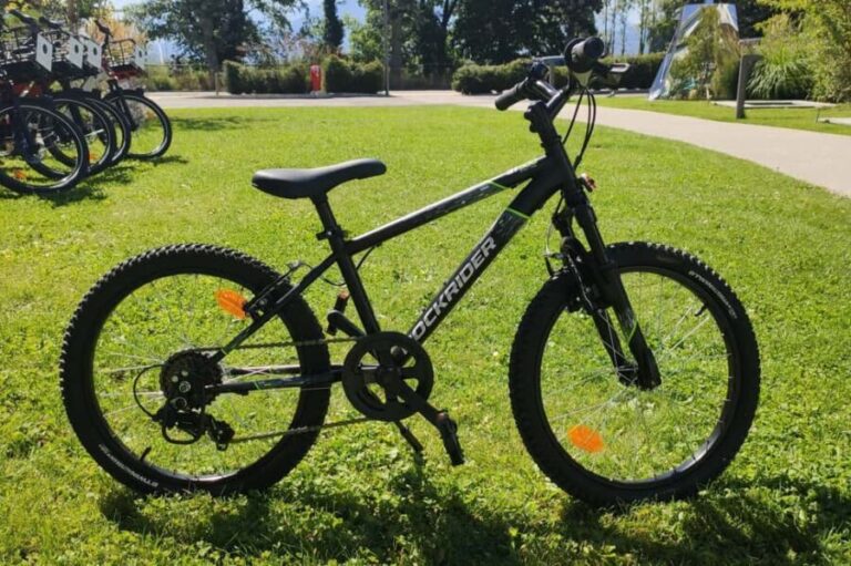 Annecy-le-Vieux, France: Electric and Classic Bike Rentals - Exploring the Itinerary and Experience