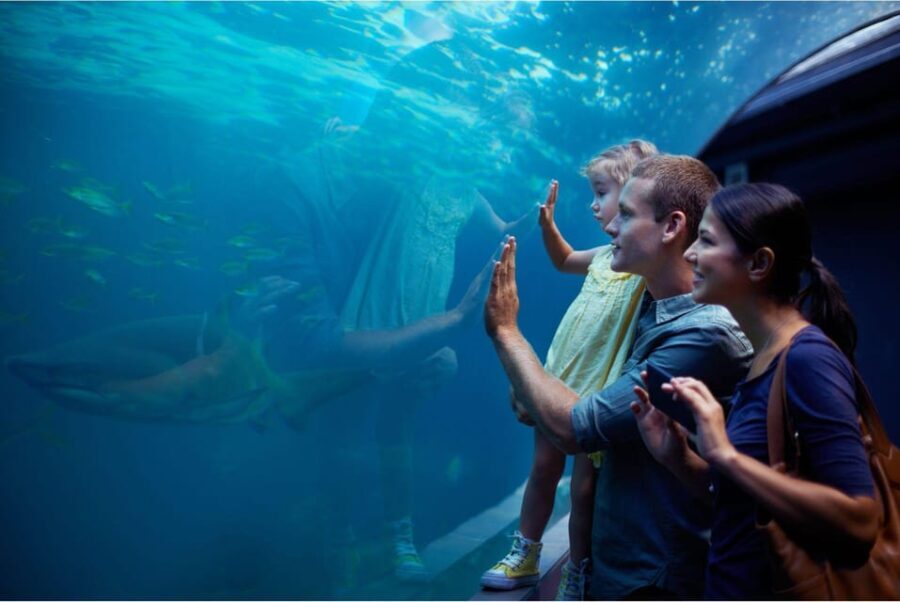 Antalya: Aquarium and Wax Museum Entry Ticket - Why This Tour Offers Good Value