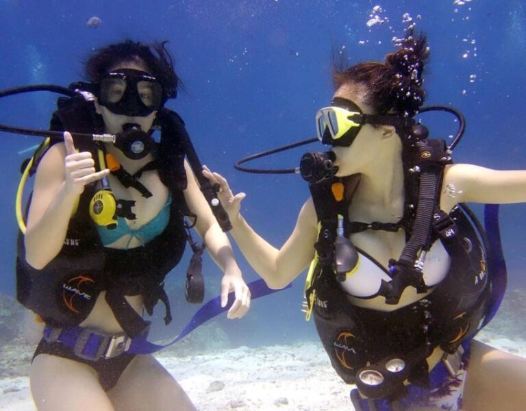 Antalya/Kemer: Scuba Diving with Pickup, Lunch, and 2 Dives - The Underwater Experience — What Youll See