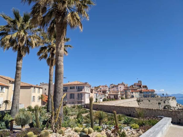 Antibes: 2 hour walking tour in the old town - The Value of This Experience