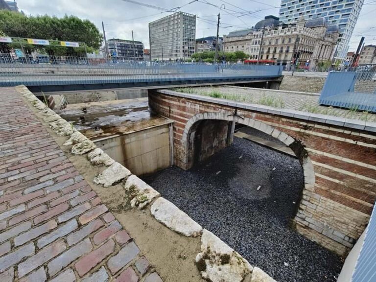 Antwerp: Historical Walking Tour in the Old City - Who Will Love This Tour?