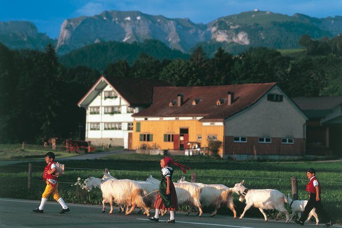 Appenzell Alps Day Trip from Zurich  Farm Life & Cheese Tasting - The Value of This Tour