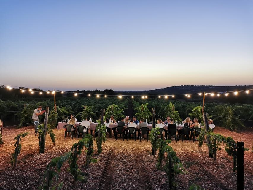 Apulia: Guided Wine Tasting with Local Appetizers - Who Will Enjoy This Tour?