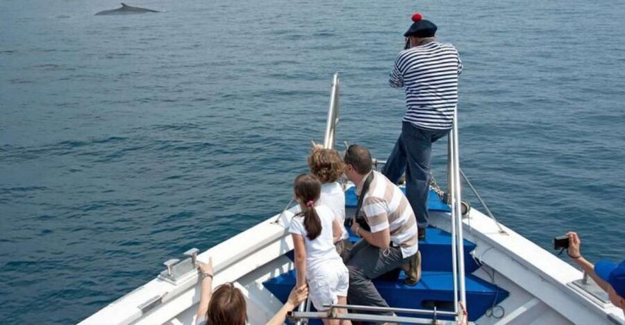 Aquarium of Genoa Ticket and Whale Watching Cruise - The Whale-Watching Excursion: What to Expect