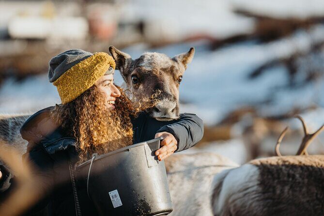 Arctic Fjords and Reindeer Experience  Small group tour - Why This Tour Offers Great Value