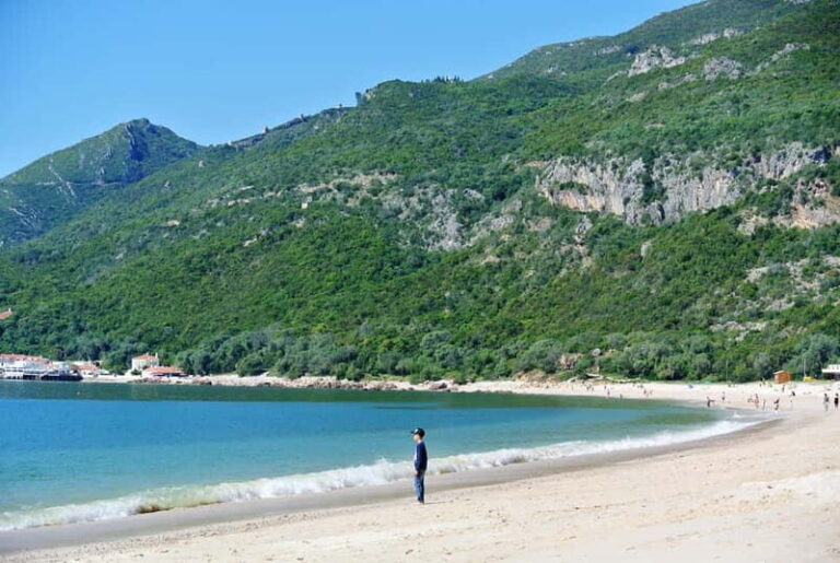 Arrabida Wine Tour - Lisbon: Wineries-Tastings-Tile Factory - Who Will Love This Tour?