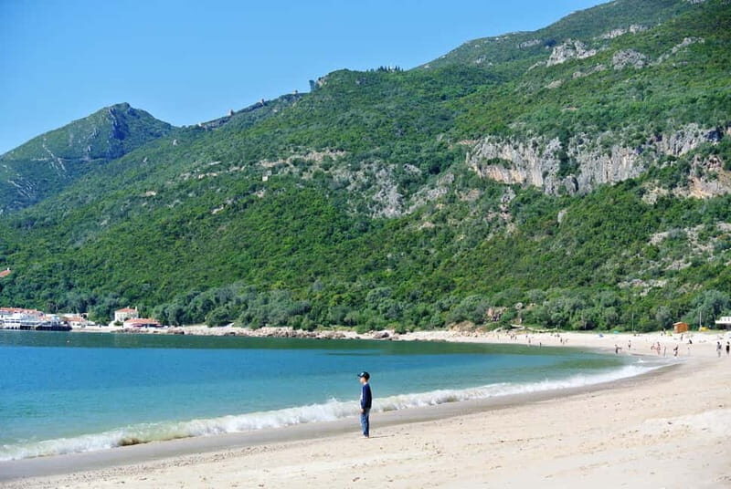 Arrabida Wine Tour - Lisbon: Wineries-Tastings-Tile Factory - Who Will Love This Tour?