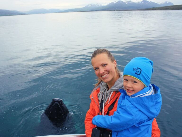 Árskógssandur: Whale-Watching Boat Trip - The Itinerary: From Check-in to Wildlife Encounters