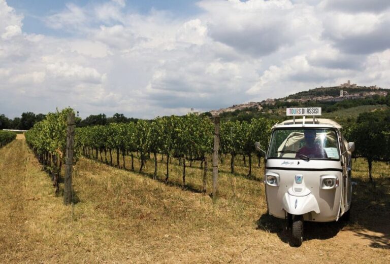Assisi: Panoramic Tuk Tuk Tour - The Value of the Experience