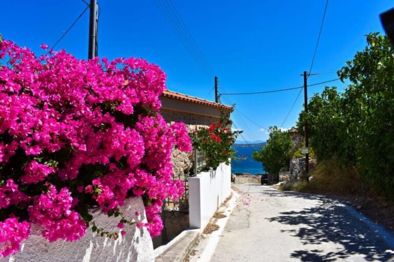 Athens: Agistri, Metopi & Aegina Cruise with Meals & Drinks - Analyzing the Value: Is It Worth It?