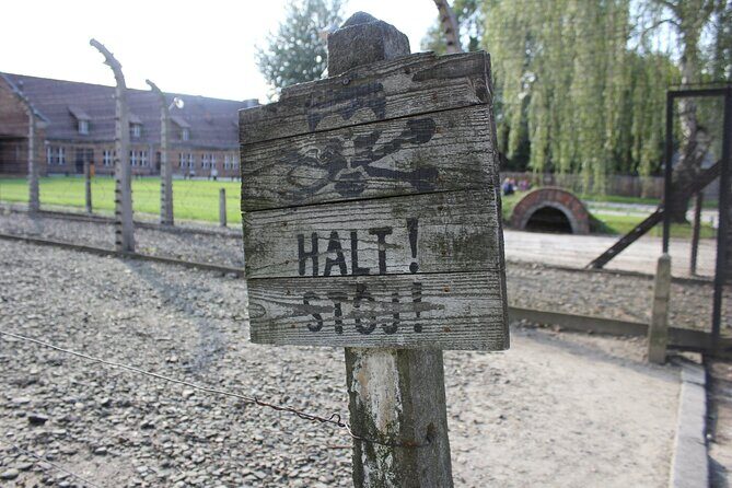 Auschwitz and Birkenau Memorial and Museum Guided Tour from Krakow - The Experience in Detail