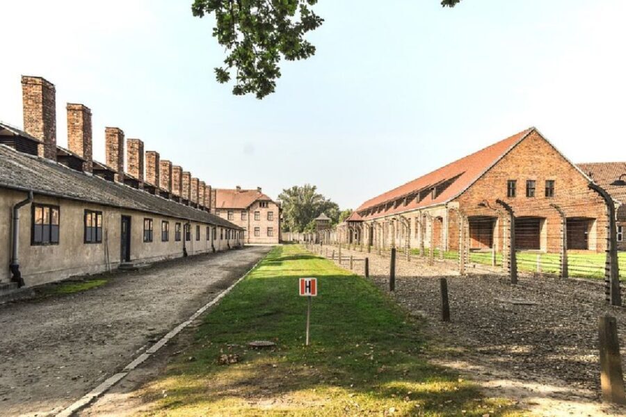 Auschwitz-Birkenau Guided Tour & Transfer from Krakow - The Guides and Overall Organization
