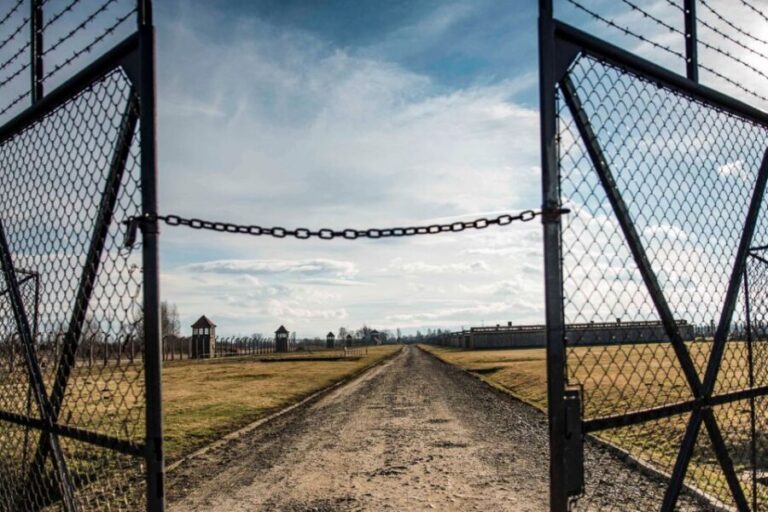 Auschwitz-Birkenau: Museum Entry Ticket with Guided Tour - Who Will Benefit Most from This Tour?