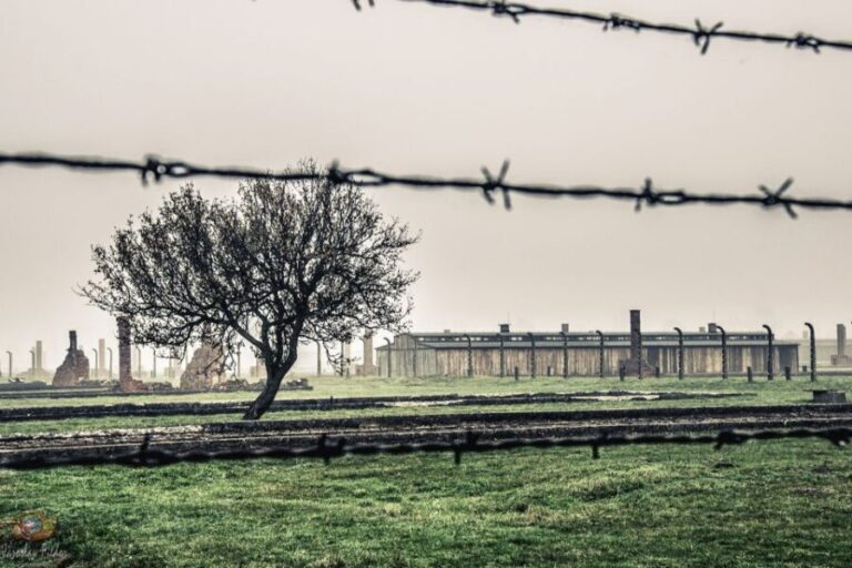 Auschwitz-Birkenau: Skip-the-Line Entry Ticket & Guided Tour - An In-Depth Look: What to Expect from This Auschwitz-Birkenau Tour