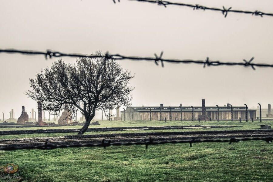 Auschwitz-Birkenau: Skip-the-Line Entry Ticket & Guided Tour - An In-Depth Look: What to Expect from This Auschwitz-Birkenau Tour