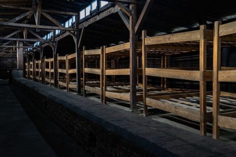 Auschwitz-Birkenau Skip-the-Line Ticket and Guided Tour - Who Would Love This Tour?