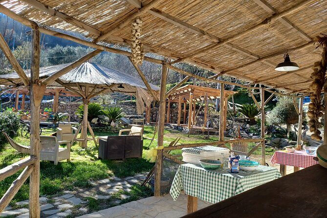 Authentic Farm Tour with Pizza, Cheese, Wine & Limoncello Tasting - The Detailed Experience