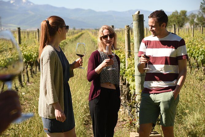 Authentic Rioja Wine Experience - Who Is This Tour Best For?
