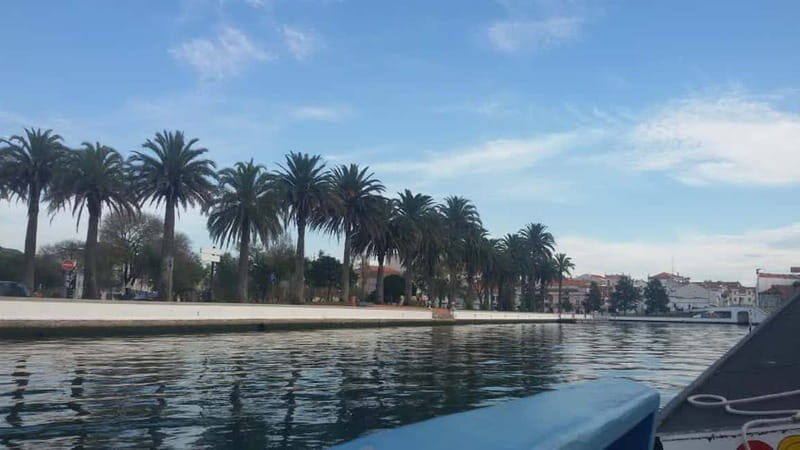 Aveiro & Coimbra Small Group Tour with Moliceiro Boat Cruise - The Value of This Tour