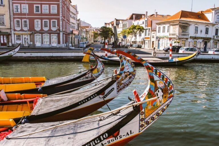 Aveiro: Traditional Moliceiro Boat Tour - A Deep Dive into the Aveiro Moliceiro Experience