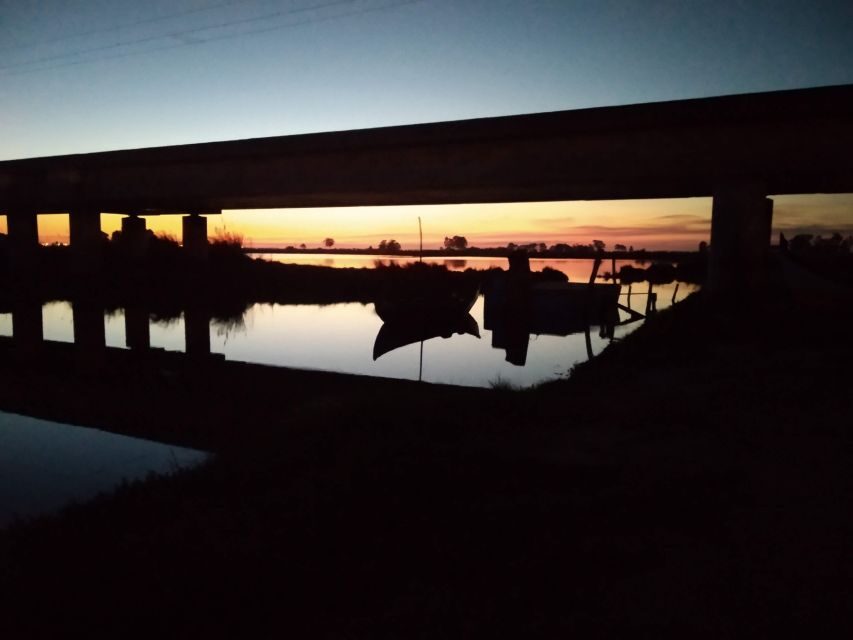 Aveiro: Walking Tour, Boat Cruise, Sweets & Church Entrance - What You Can Expect in Detail