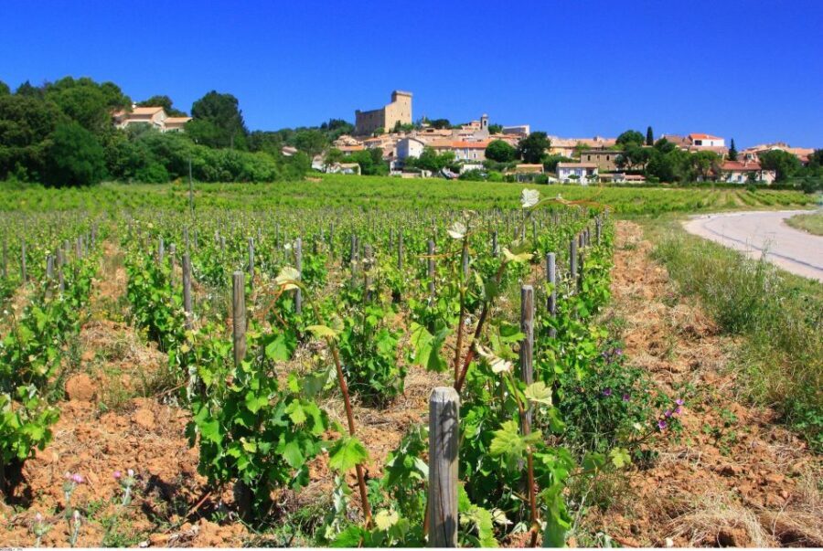 Avignon: Full-Day Wine Tour around Châteauneuf-du-Pape - The Highlight: Châteauneuf-du-Pape Wines
