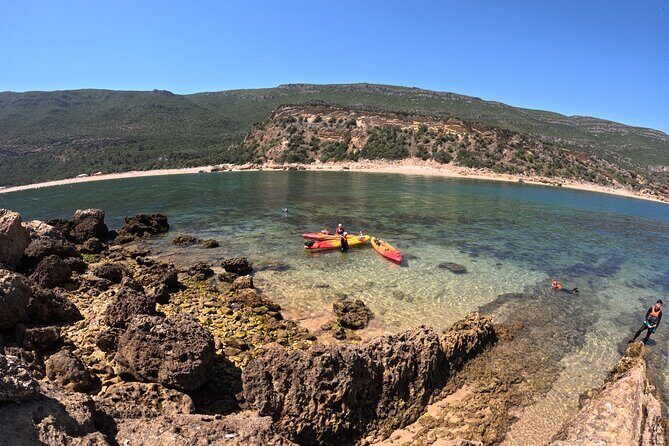 Award Winner Premium Kayak and Coasteering Adventure with Lunch - Who Is This Tour Best For?