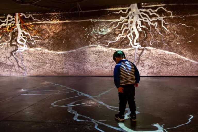 Aÿ-Champagne: Pressoria Champagne Museum with Tasting - Exploring the Pressoria Champagne Museum: What You Can Expect