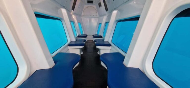 Baia: Semi-Submarine Tour for the Underwater City - Final Thoughts: Who Should Take This Tour?