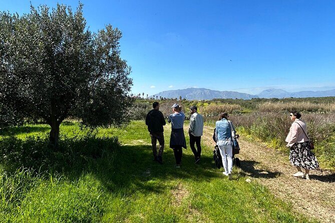 Balestrate Olive Grove Tour: Wine and Olive Oil Tasting - Practical Details and Experience Value