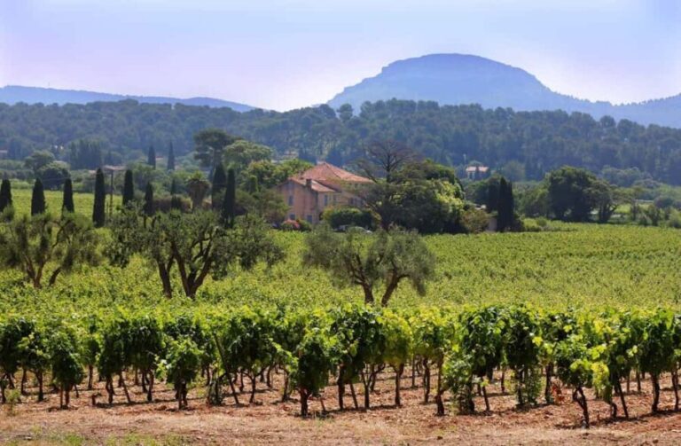Bandol and Cassis: Full Day Wine Tour from Marseille - What Sets This Tour Apart