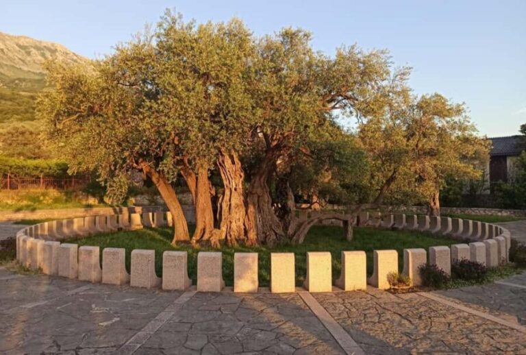 Bar: Montenegro Highlights Tour for Cruise Passengers - Scenic Drive to Skadar Lake National Park