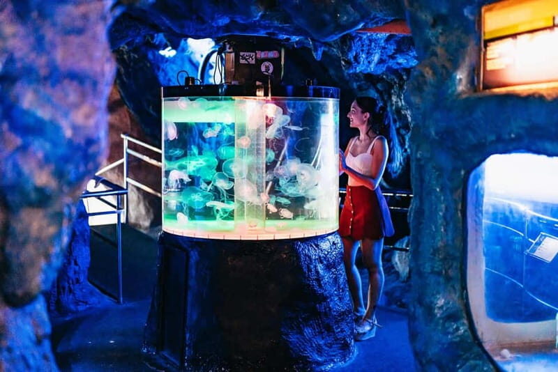 Barcelona Aquarium: Entry Ticket - Authentic Visitor Insights