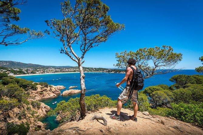 Barcelona: Costa Brava Easy Hike, Snorkel, Cliff-Jump & Meal - Authentic Insights from Reviewers