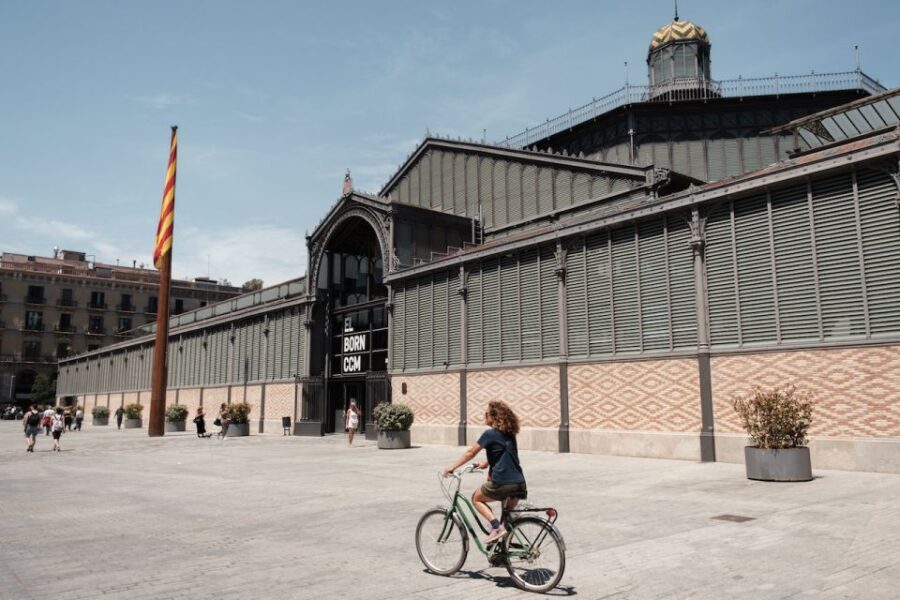Barcelona: Guided Bike or E-Bike City Tour - Who Will Love This Tour?