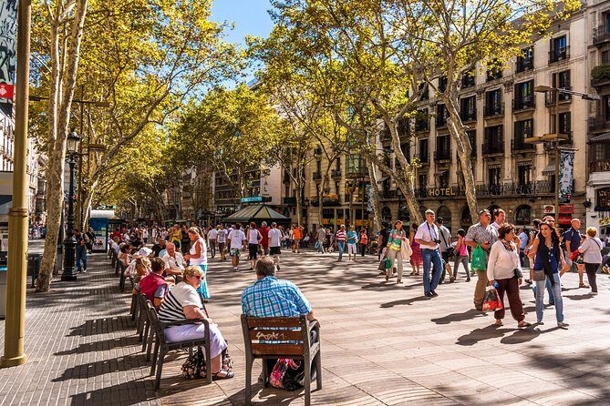 Barcelona Highlights Private Guided Tour with Hotel Pick-up - Transportation & Comfort