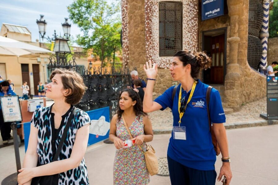 Barcelona: Park Guell Guided Tour with Skip-the-Line Entry - The Guided Tour: What to Expect