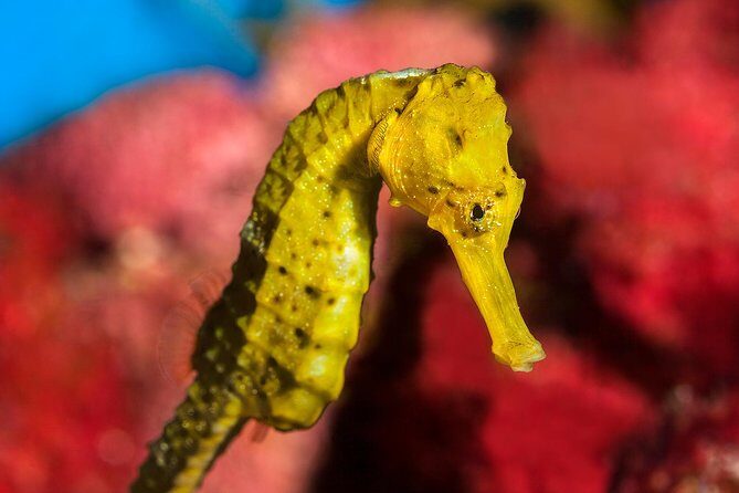 Barcelona Pass: Save up to 50% - Includes Sagrada Familia - Exploring the Itinerary: What You’ll Experience