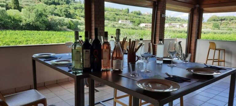 Bardolino: Vineyard Tour with Wine, Olive Oil & Food Tasting - The Sum Up