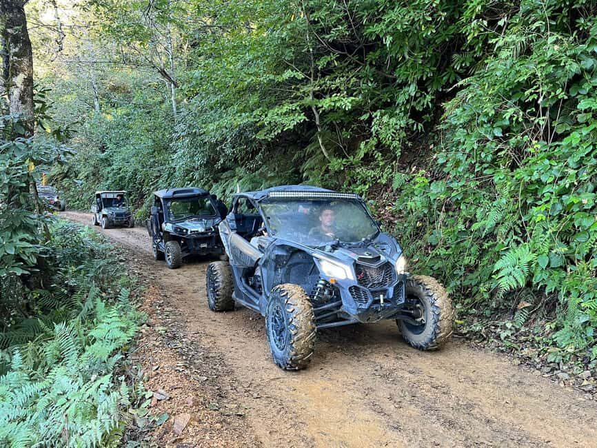 Batumi: Mtirala ATV, Buggy Maverick & Horse Riding Adventure - The Itinerary: What to Expect