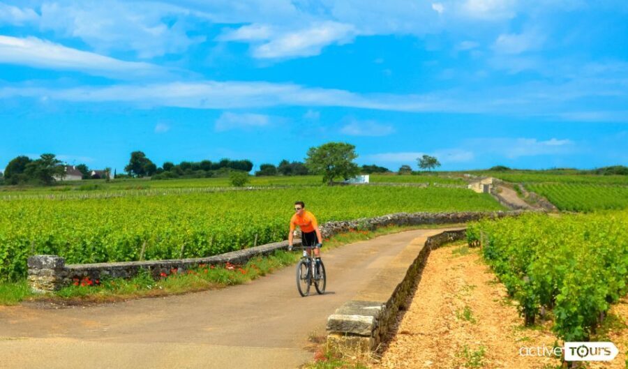 Beaune: Winery Tour by Bike with Wine Tasting - What to Expect: The Practicalities